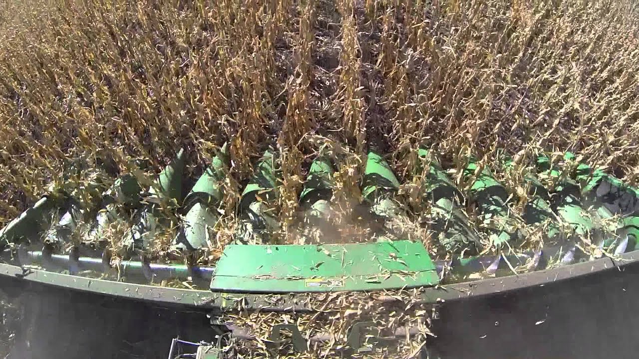 Nebraska 2014 Dryland Corn Harvest - GoPro - YouTube