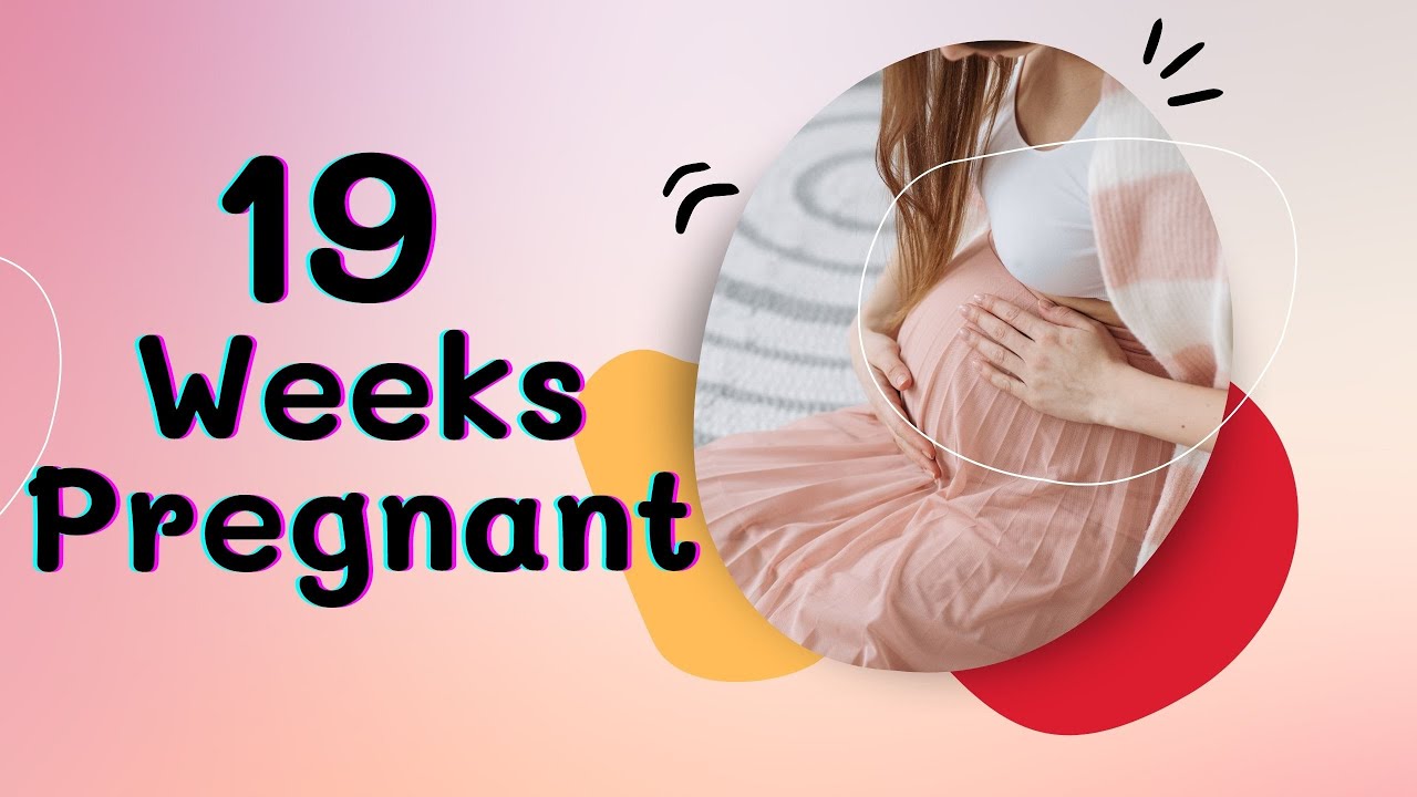 19 Weeks Pregnant: My Baby's First Kicks & Nursery Prep! - YouTube