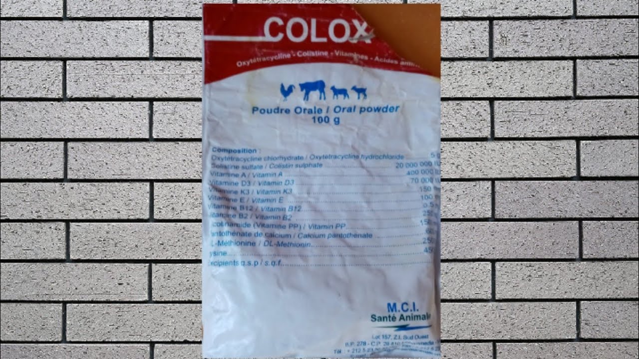 فيتامين(COLOX) ممتاز الحمام/100# - YouTube