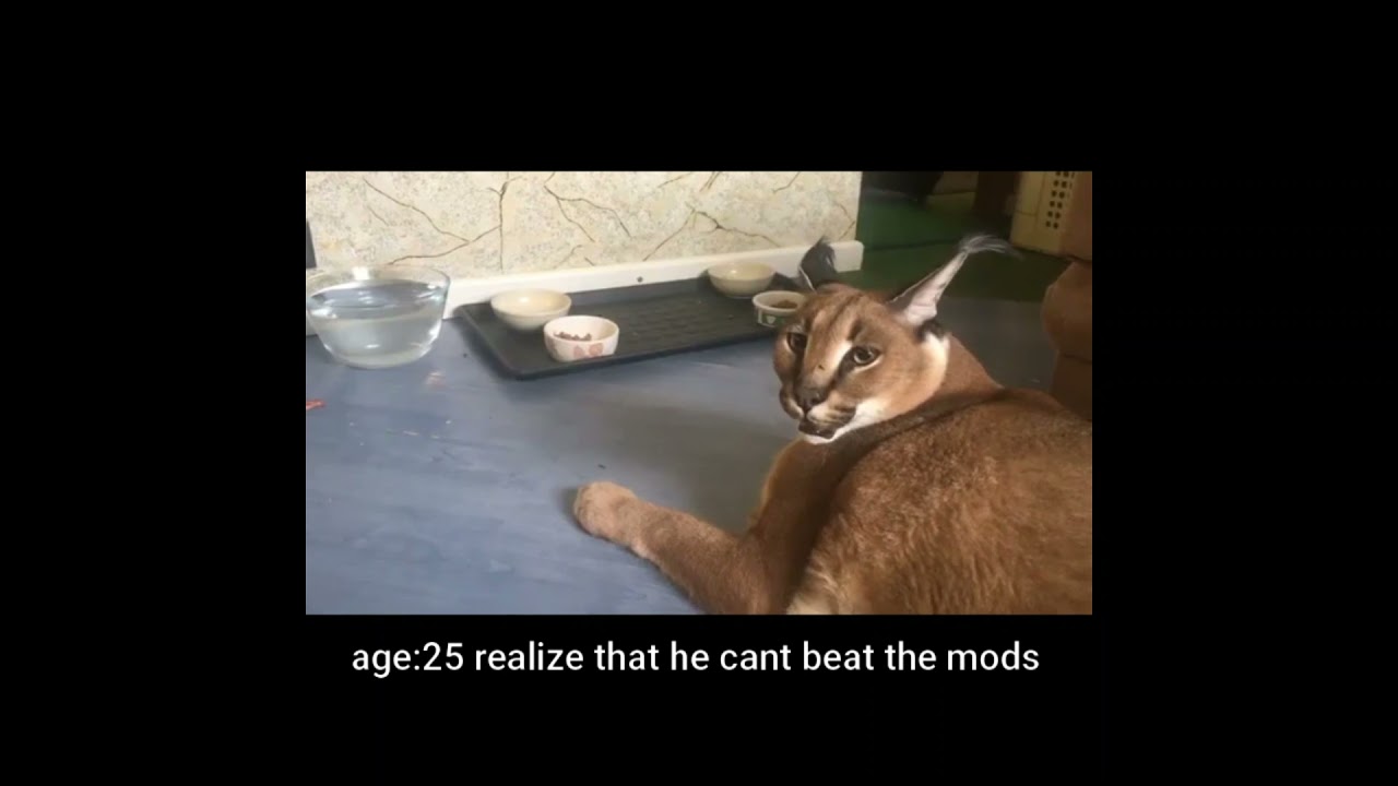 Heckers life story - YouTube