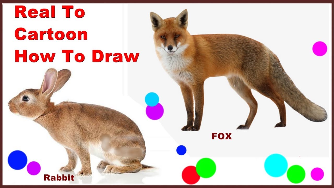 How to Draw a Rabbit and Fox - Step by Step Drawing for Kids - YouTube