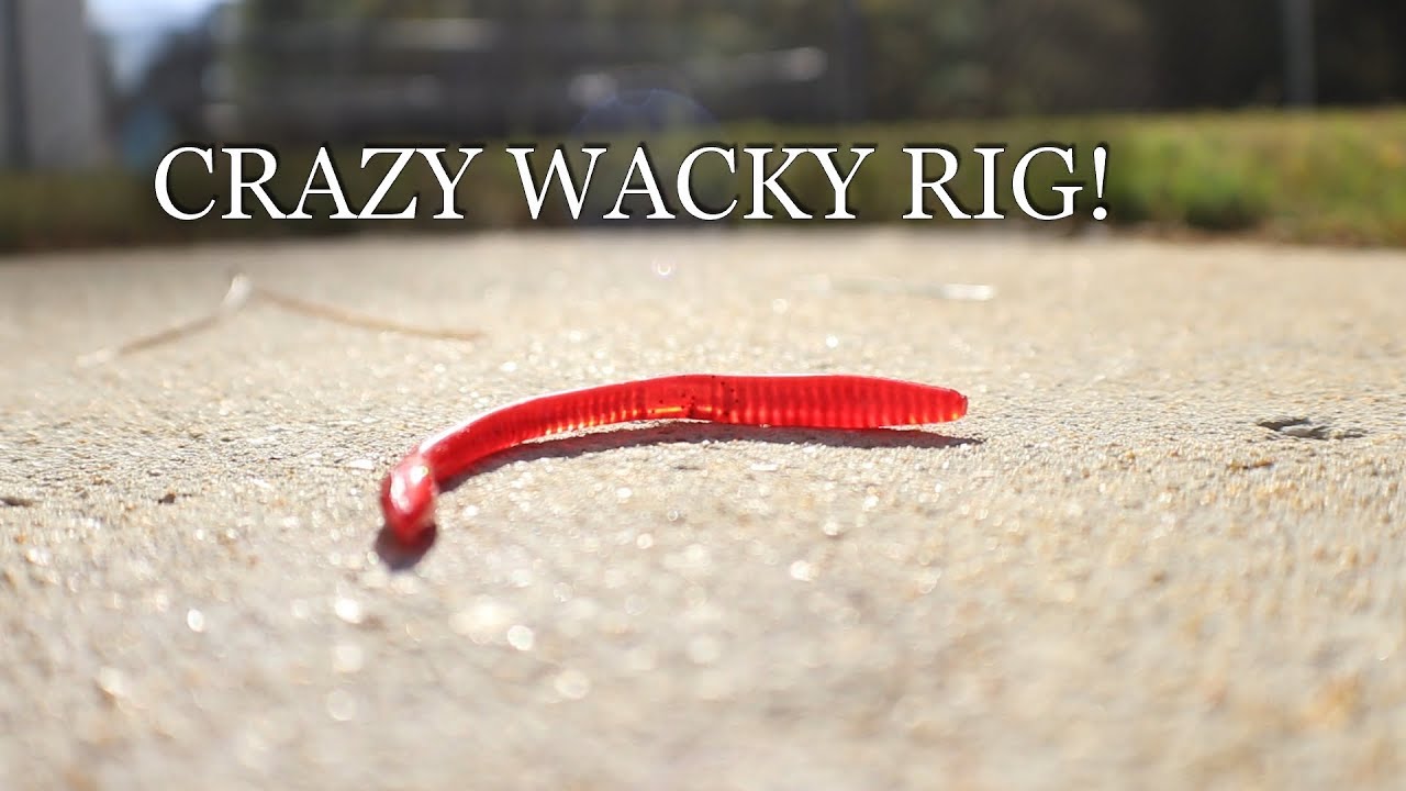 Wacky rig you have NEVER heard of!!! (CRAZY new rig) - YouTube