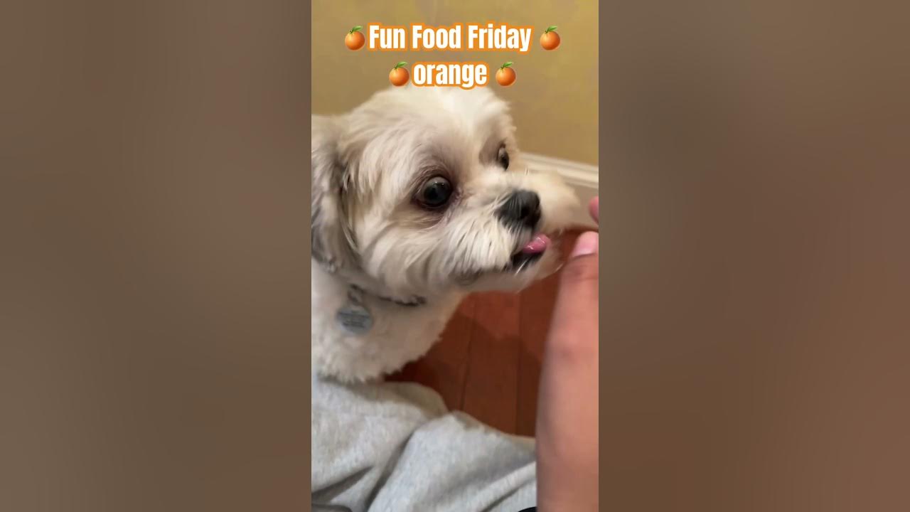 🍊Fun Food Friday🍊 - YouTube