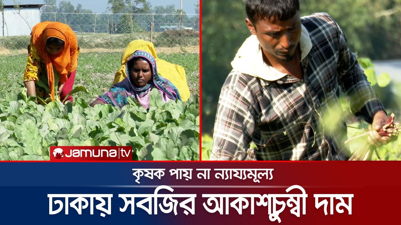 হাটে যে বেগুন ৬ টাকা কেজি; ঢাকা আসতেই বেড়ে যায় ১০ গুণ! | Vegetable ...