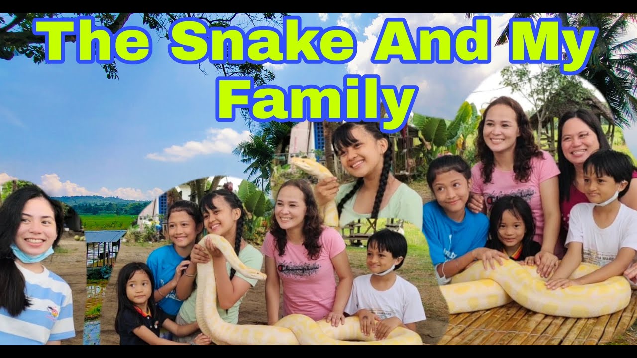 The Snake And My Family - YouTube