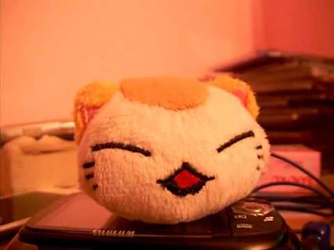 IU Wisdom Tooth Cover