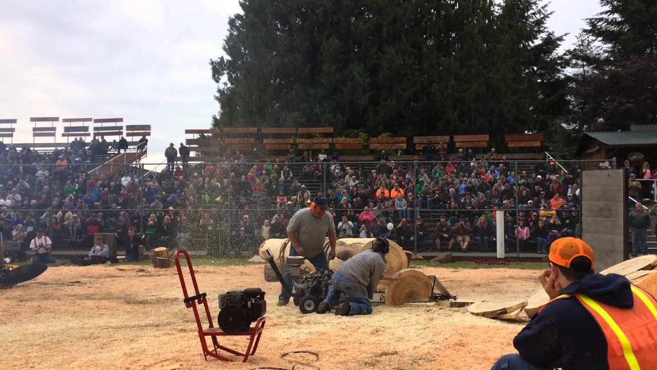 Insanesaw 2014 Deming Logging Show - YouTube