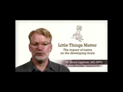 Bruce Lanphear, MD, MPH presentation at the 2016 Children's Health Symposium