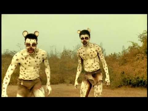 Lost Bushmen - Cheetah