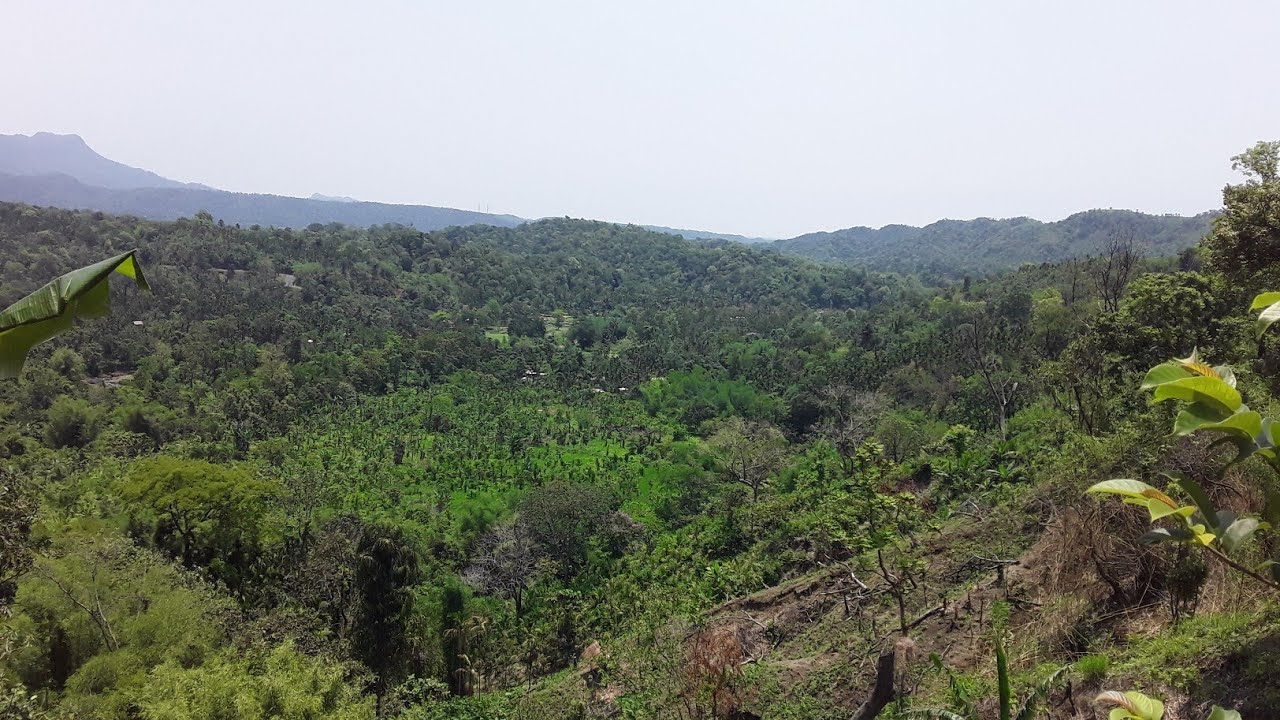 Guang aro snari - YouTube