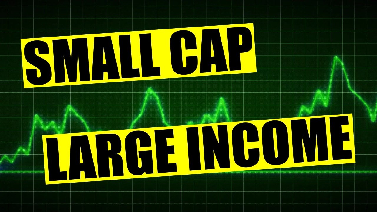 You Won't Believe the DIVIDENDS from These Small Cap Stocks - YouTube