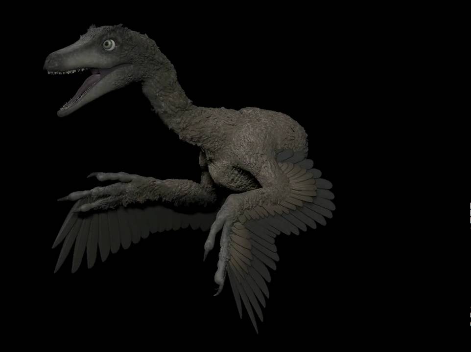 Troodon Turntable Feathered - YouTube