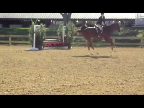 How to do flying lead changes on a horse - YouTube