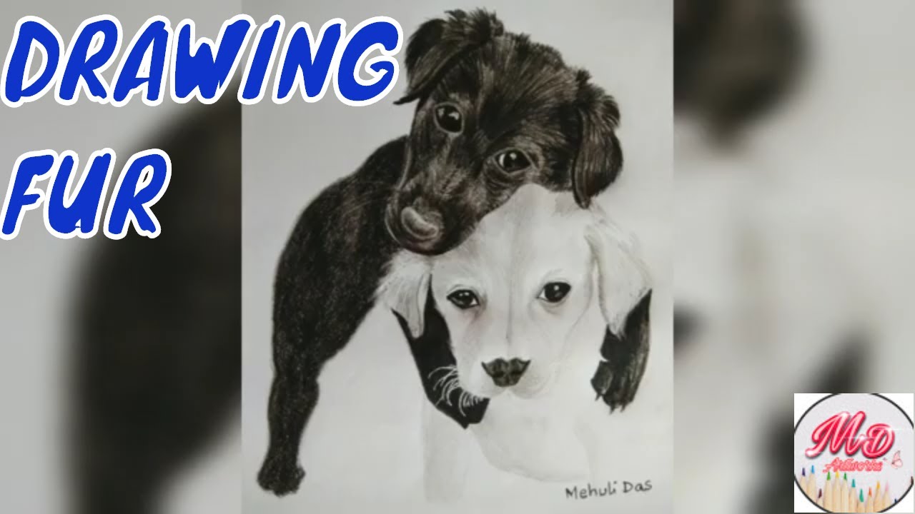 Black and White Puppies drawing - Pencil Shading (realistic fur) - YouTube