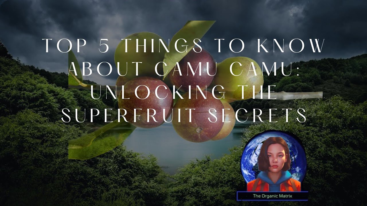 Top 5 Things to Know About Camu Camu: Unlocking the Super fruit Secrets ...