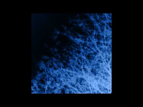 Linger the Rabbit - torture