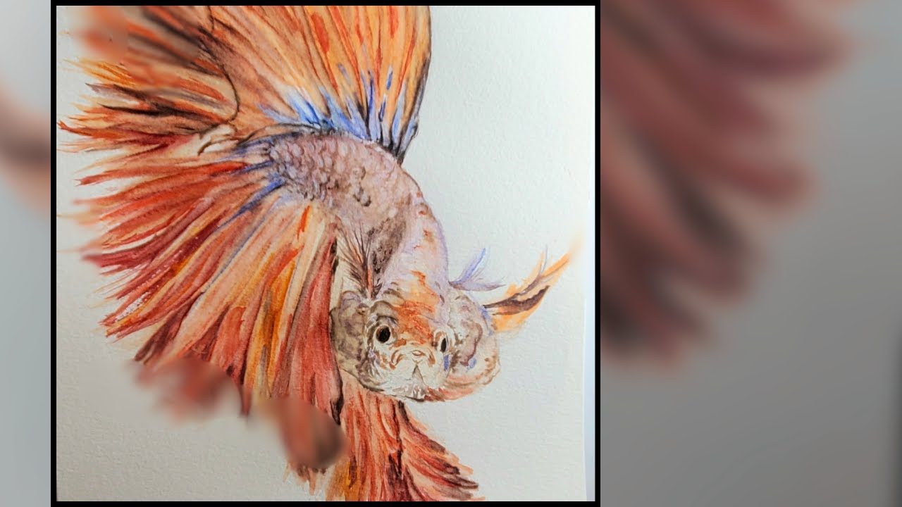 Painting a Fish in Watercolor ( Techniques Revealed) - YouTube