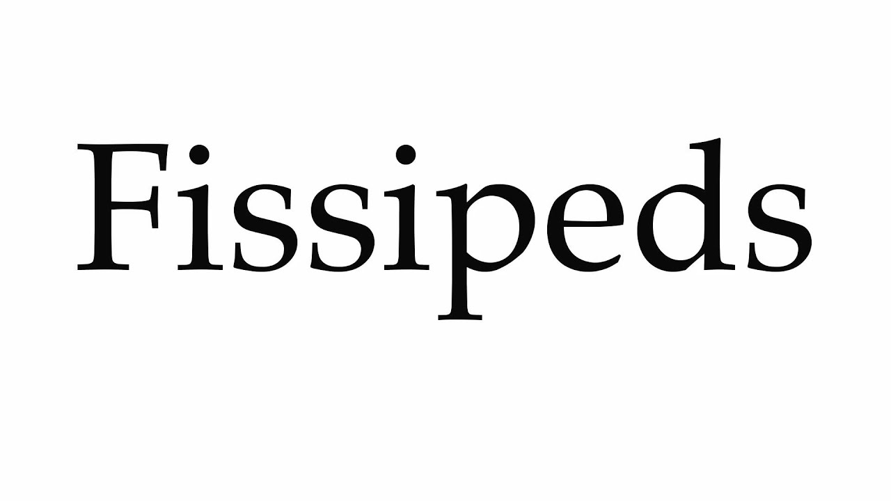 How to Pronounce Fissipeds - YouTube