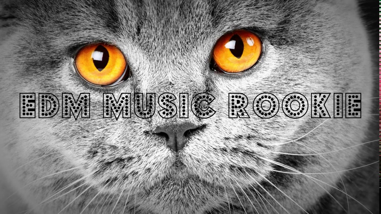 EDM MUSIC - Welcome NO.3 - YouTube