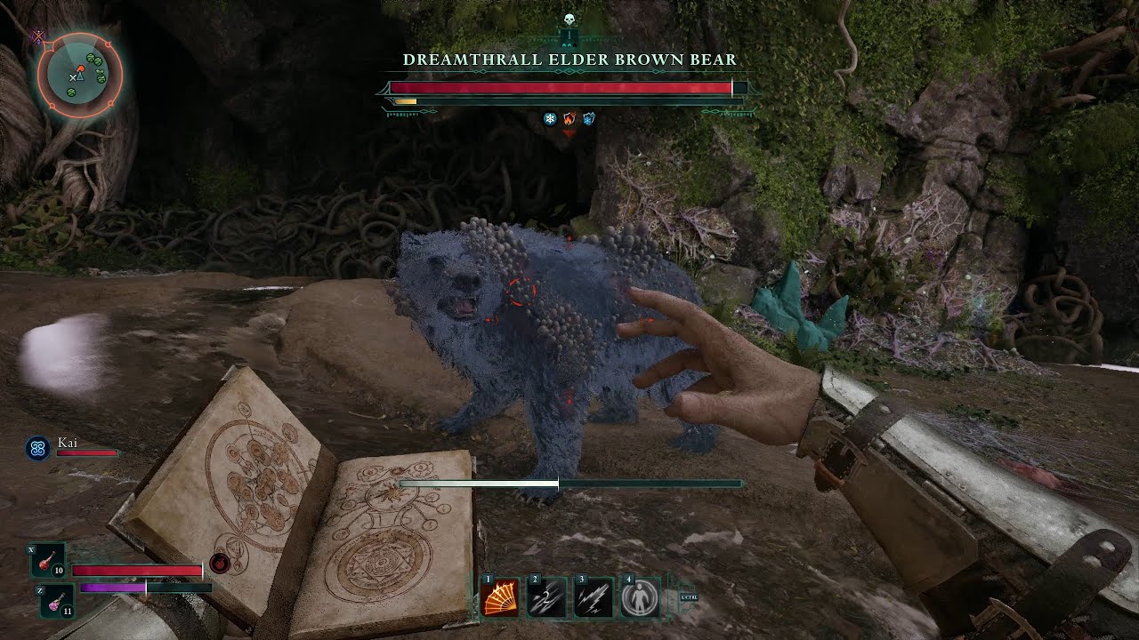AVOWED 2025 - Main Story Quest - BOSS BATTLE - Elder Brown Bear - YouTube