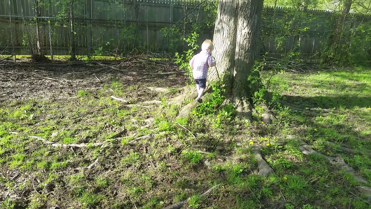 Hitting things with stick - YouTube