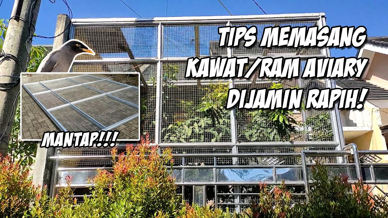 TIPS Memasang Kawat atau Ram untuk Aviary dijamin rapih! - YouTube