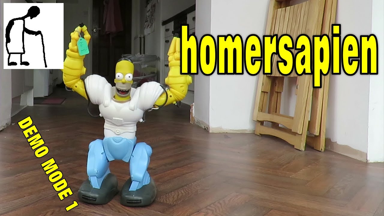Homersapien Robot