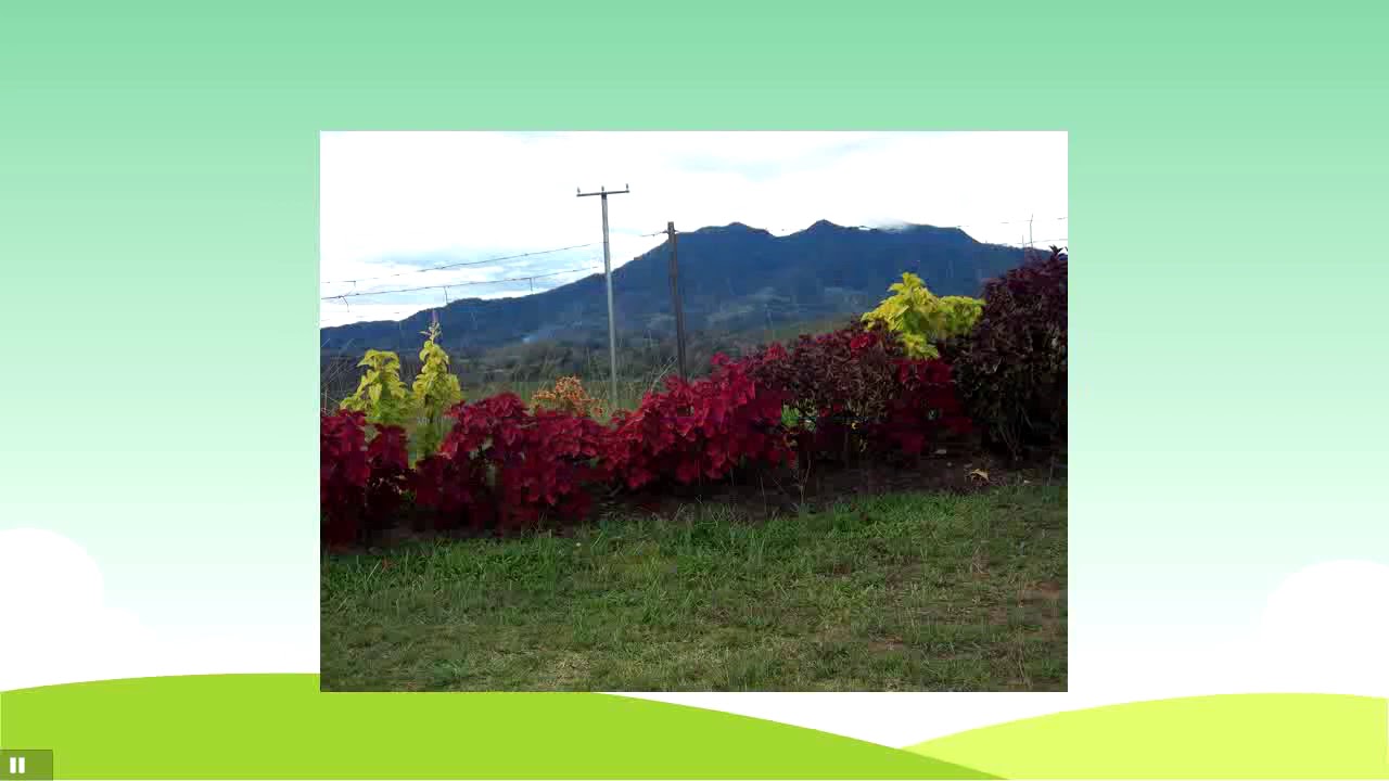 Vision Hill - YouTube