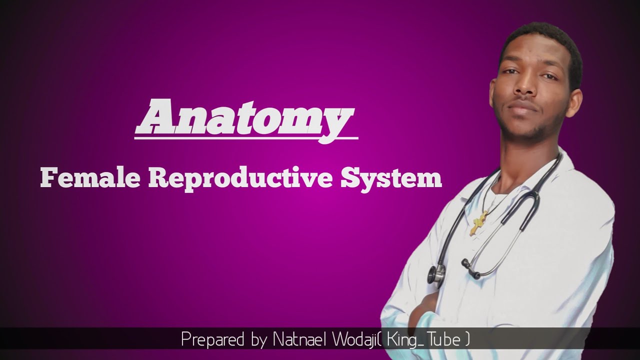 Anatomy of Female Reproductive System in amharic languages @king_tube ...