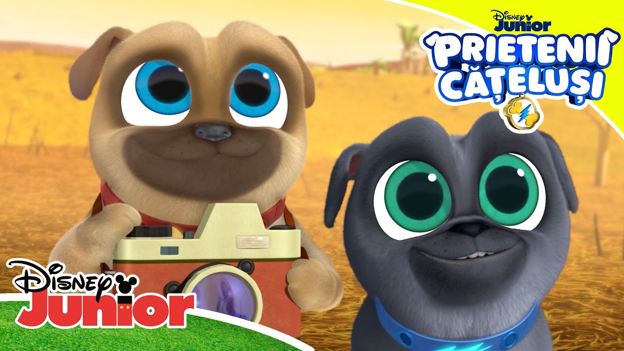 📸🎶 Facem Poze | Prietenii Cățeluși | Disney Junior România - YouTube
