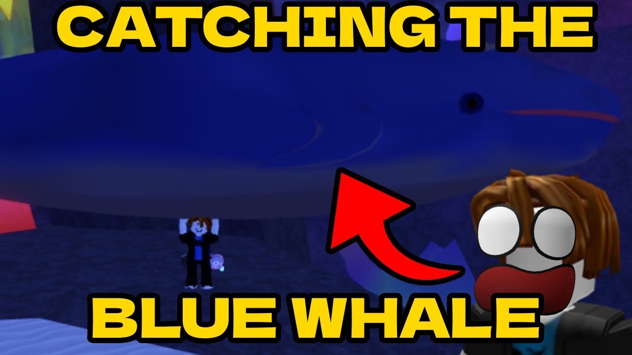 I CAUGHT THE NEW BLUE WHALE IN ROBLOX FISCH??? - YouTube