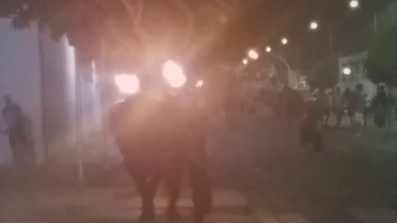 Bou i vaca embolats en Tabernes blanques 14.7.2018 - YouTube