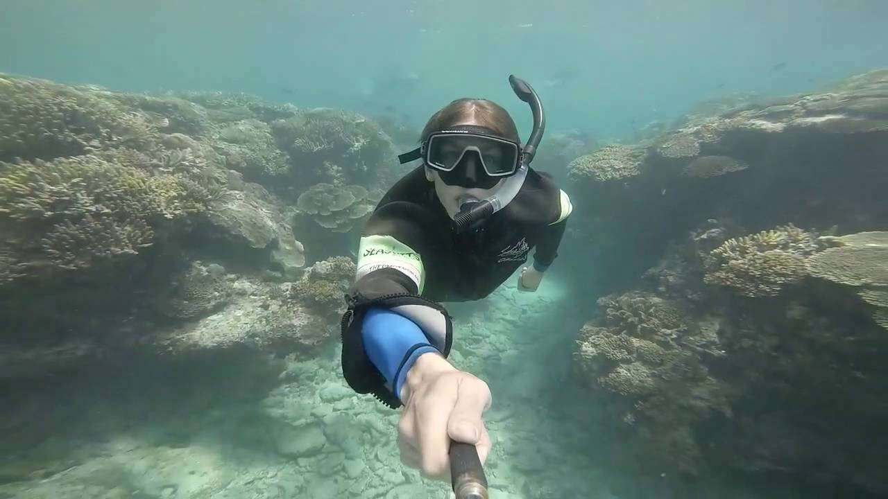 The Island - One Tree Island (HD) - YouTube
