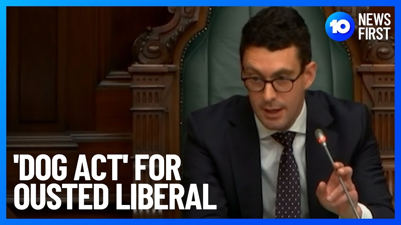 “Dog Act” By MP Dan Cregan | 10 News First - YouTube