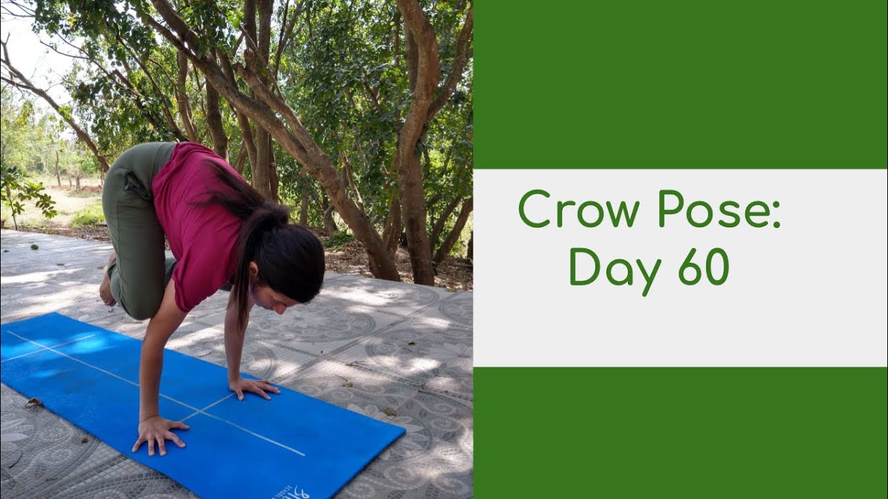 Crow pose Day 60 | Vinyasa yoga flow with crow pose | Breath work ...