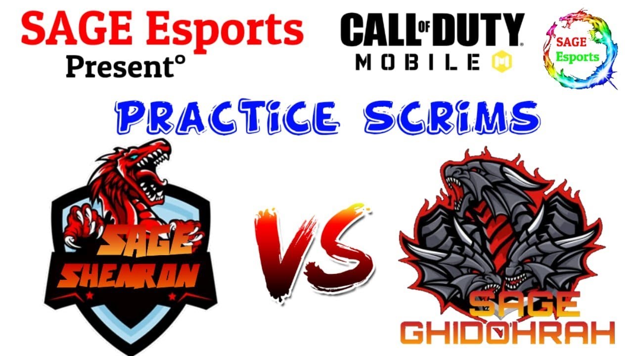 Shenron vs Ghidorah | Practice Scrims SAGE WAR Season 1 | Call of duty ...