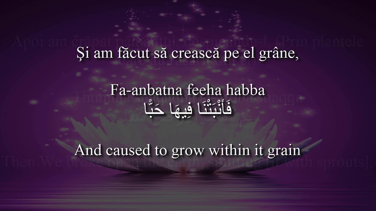 Holy Quran [80:24-42 Surat 'Abasa] with Romanian and English ...