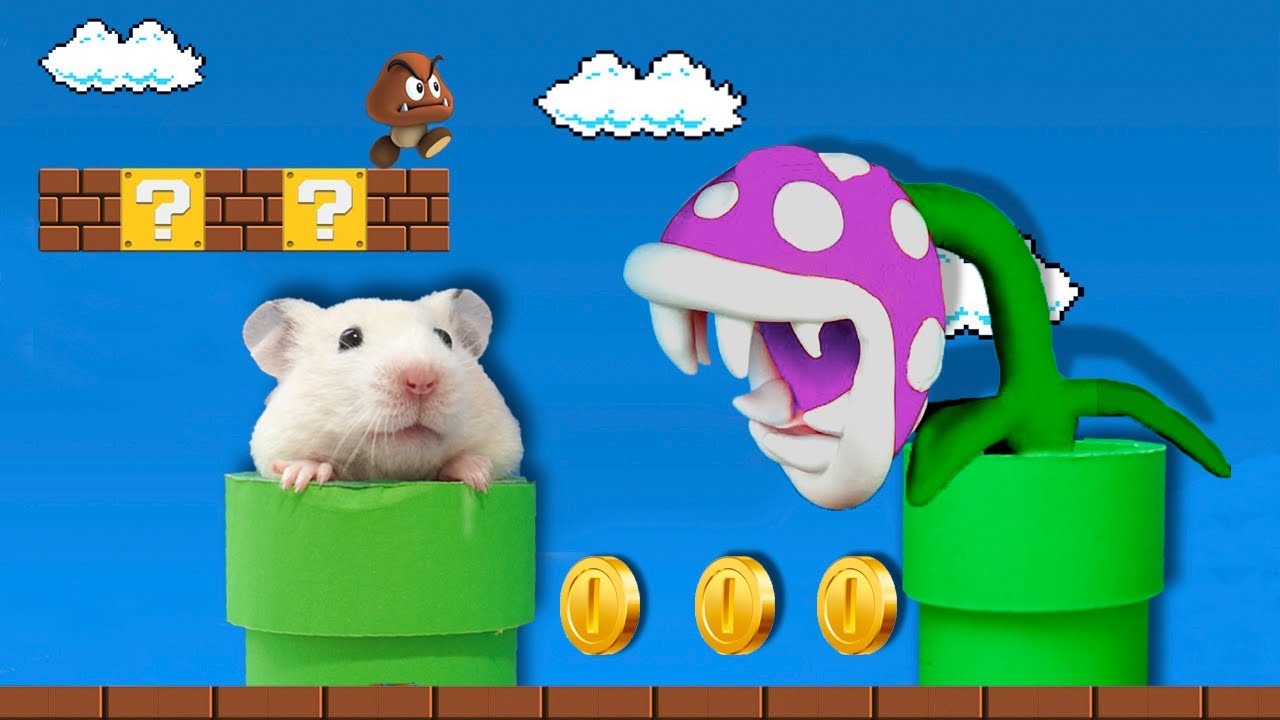 WoW!!! The Hamster Escapes Mario's Specical Maze | Life Of Hamster ...