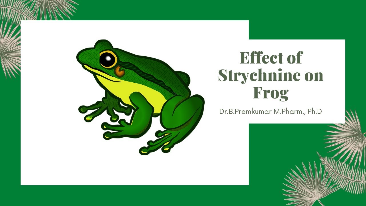 Strychnine effect on frog - YouTube