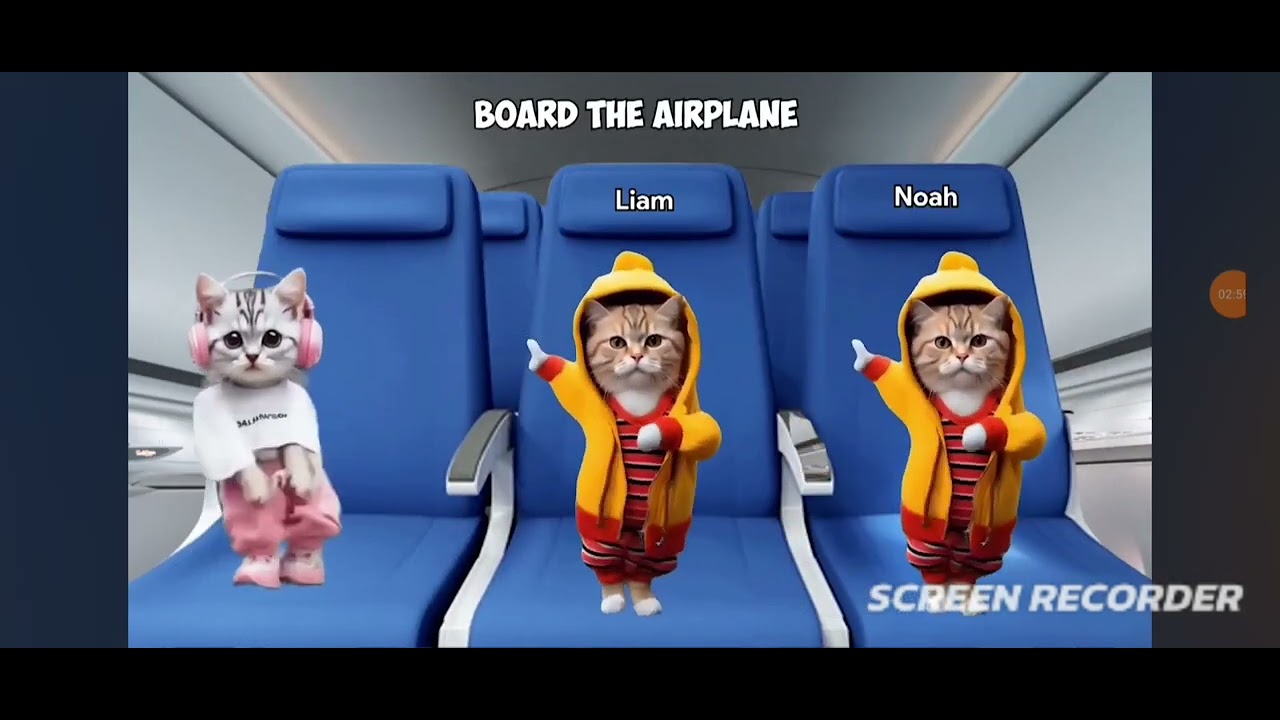 meme cat airport🐱🐱🐱 (1/?)sorry for no sound🙁🙁 - YouTube