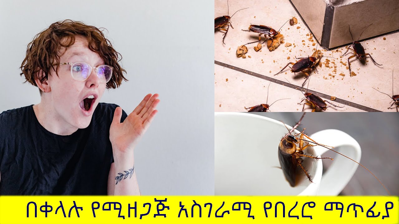 በቀላሉ የሚዘጋጅ አስገራሚ የበረሮ ማጥፊያ#seifuonebs#tena#donkey#yene tena#qatar# ...