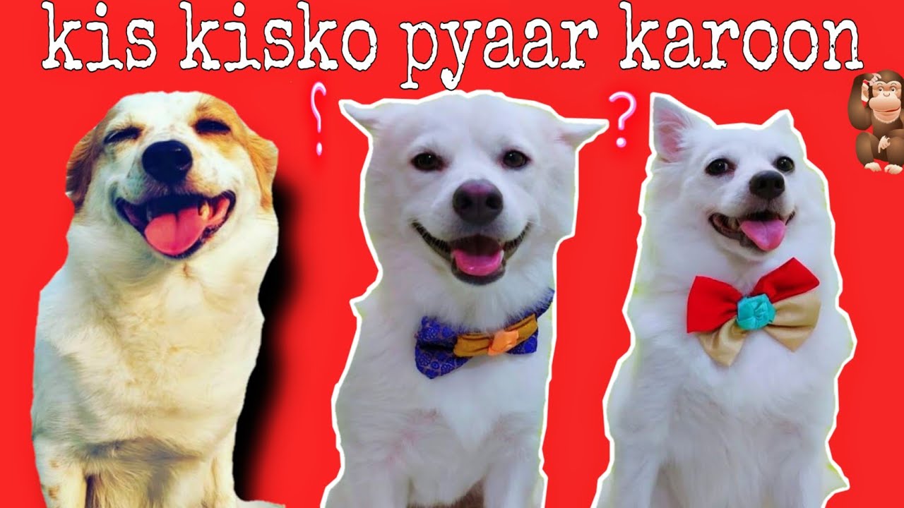 Buddy ke Bachpan ka pyaar kabhi bhull nahi jana | Funny talking dog ...