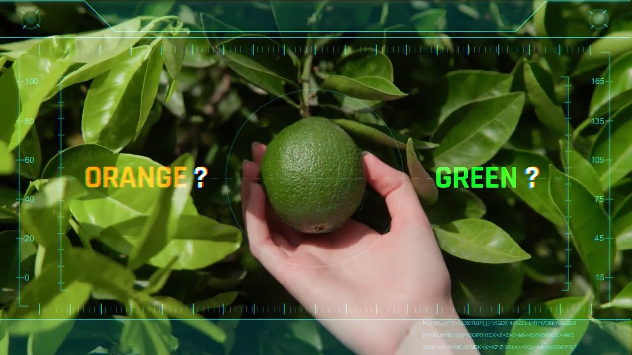Discover the new Green Valencia filter - YouTube