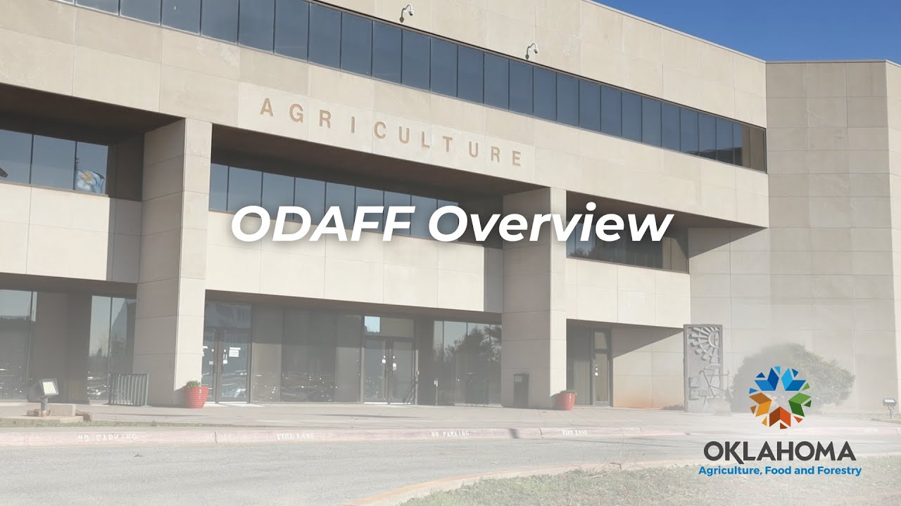 ODAFF Overview | December 2024 - YouTube