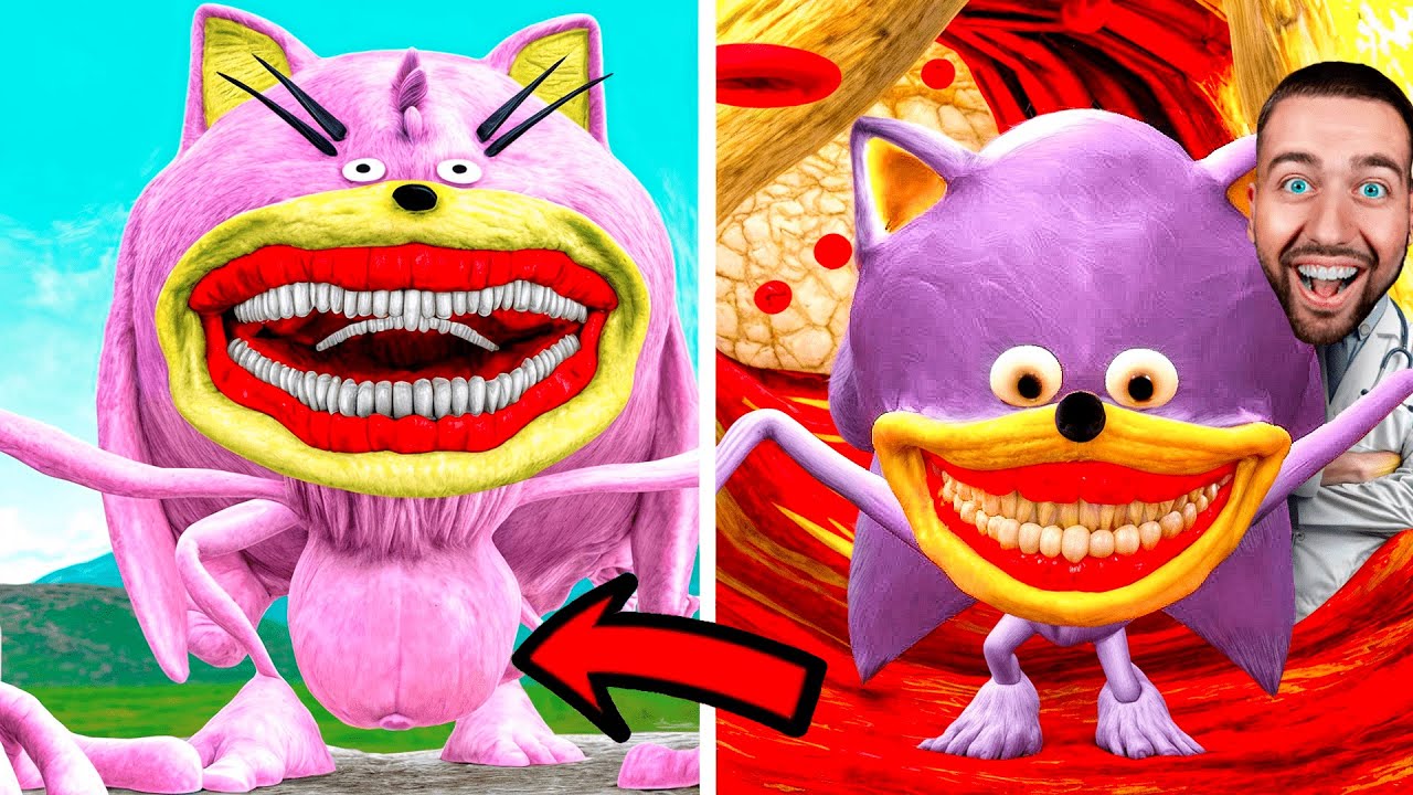 QU'Y A-T-IL DANS AMY SONIC TAPES ENCEINTE ?! DIABOLO VA DANS LE VENTRE ...