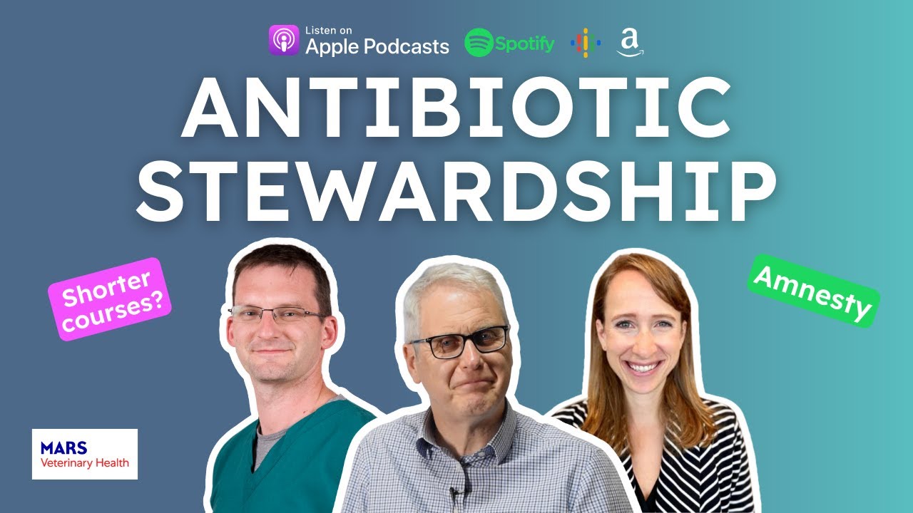 One Health: Patient & Environmental Impacts Of Prescribing Antibiotics ...