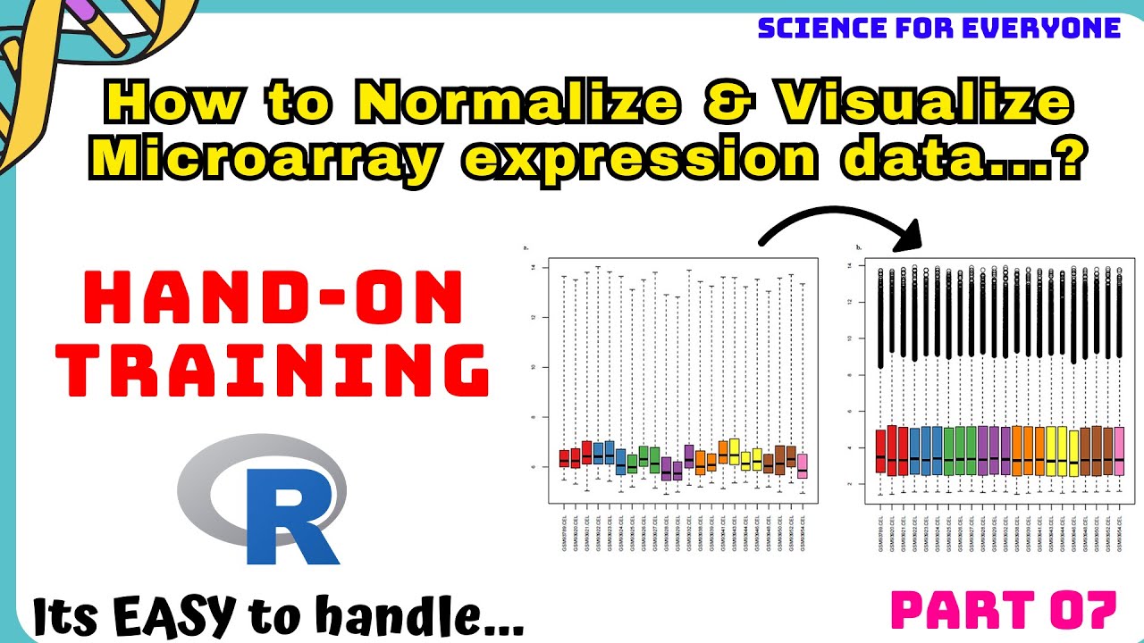 What is Normalization & HOW it is Performed? | Hand-On Training ...