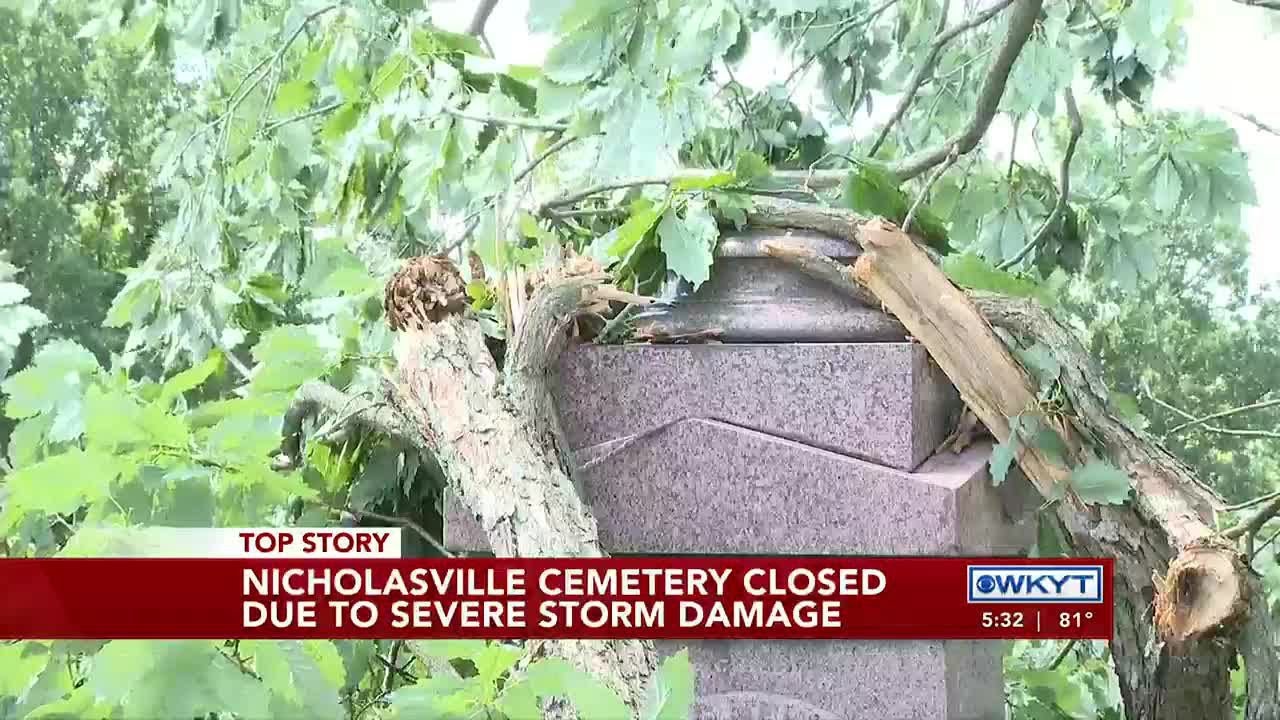 WATCH | Fallen 100-year-old maple tree damages several headstones in ...