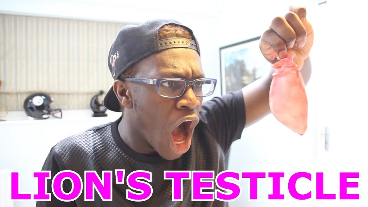 Eating A Lion's Testicle - YouTube