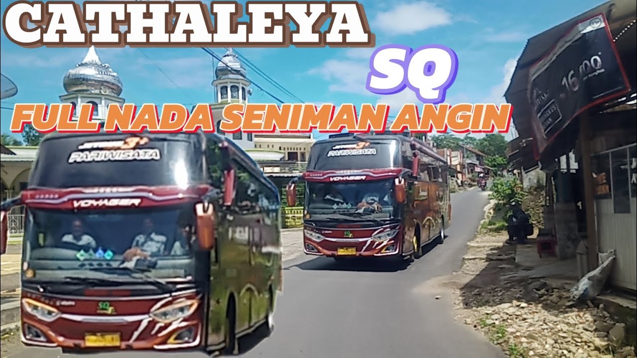 MENGOYOD BUS SQ DENGAN JULUKAN CATHALEYA FULL MODUL DAV D4 DAN MODUL ...